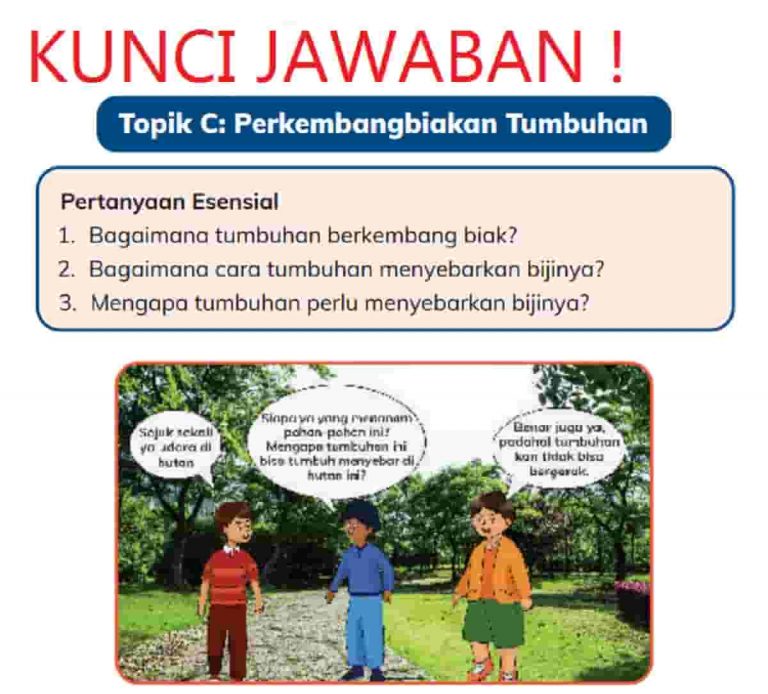 Bagian Bunga Apa yang Berperan dalam Proses Perkembangbiakan IPAS Kelas ...