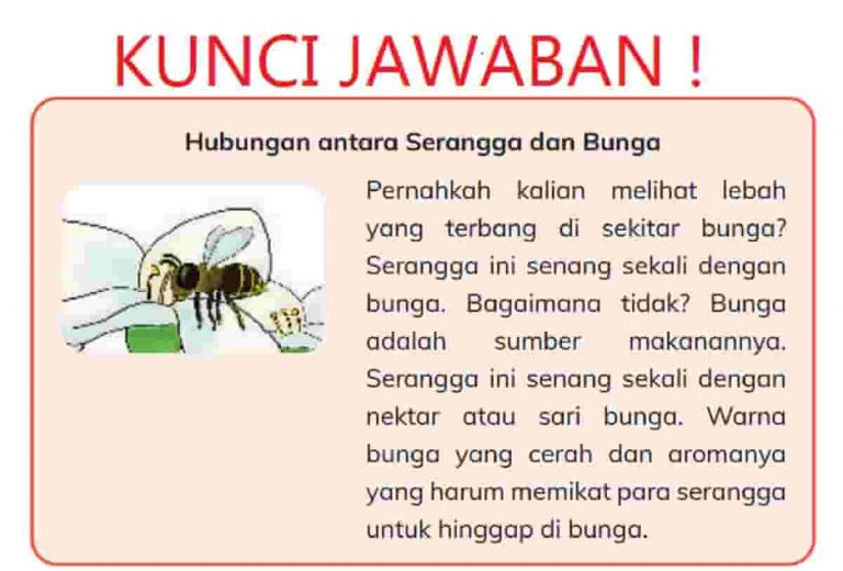 Mengapa Serangga Senang Hinggap di Bunga Apa Itu Proses Penyerbukan ...
