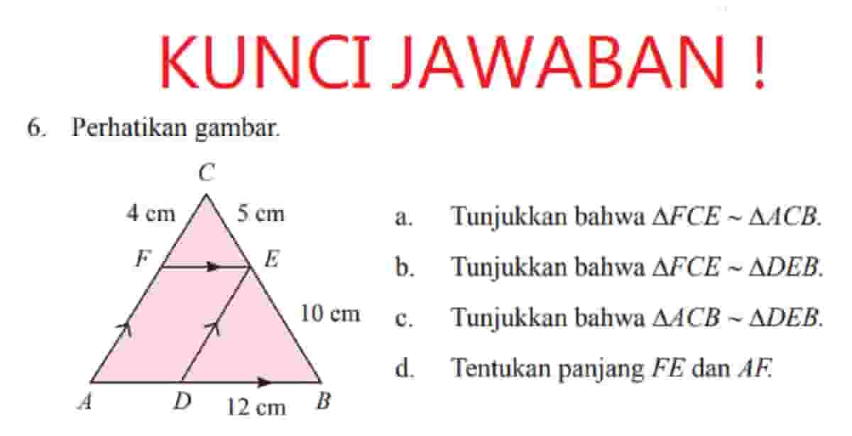 Tunjukkan Bahwa ∆FCE ∼ ∆ACB Jawaban Matematika Halaman 255