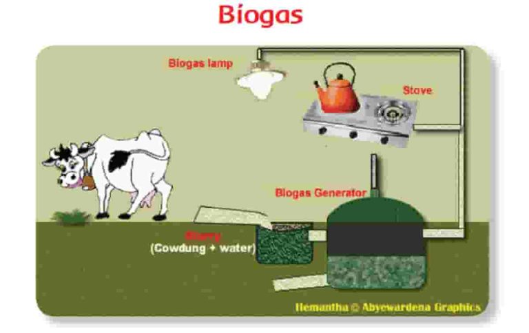 Berikan Dua Alasan Biogas Dapat Dijadikan Energi Aternatif Jawaban Tema ...